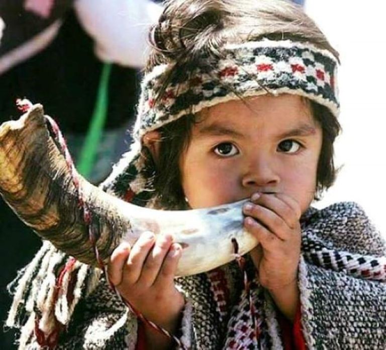 Hoy se realiza taller sobre instrumentos musicales de la cultura ...