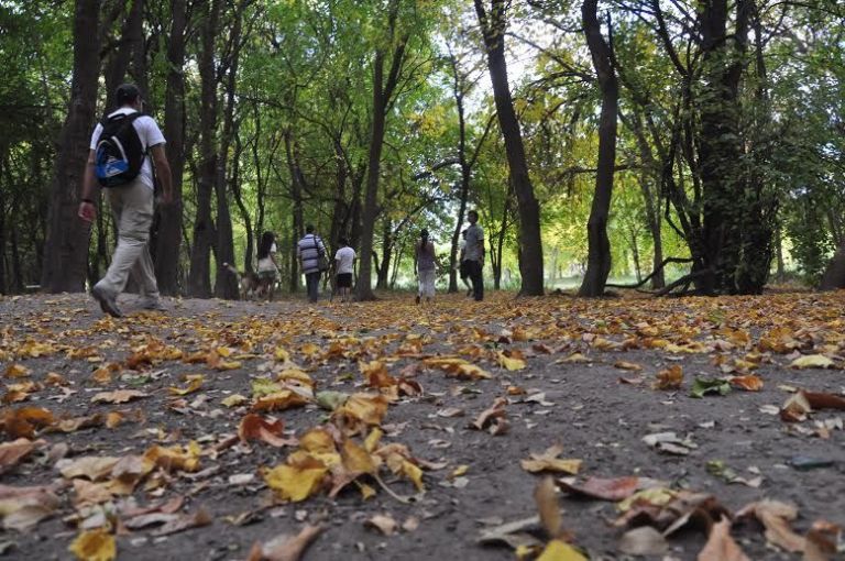 Choele Choel en Otoño: capturando la belleza en fotografías | 7enpunto