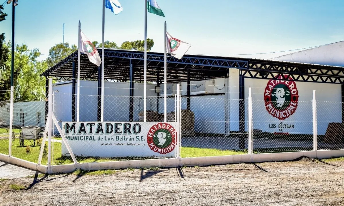 Proyectos del EnDeVaM en 2025: "La ampliación del matadero de Luis ...