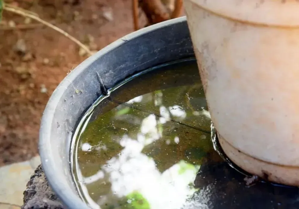 Tormenta, calor y acumulación de agua: 7 recomendaciones para evitar la ...