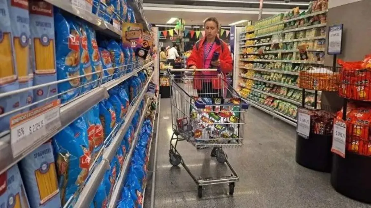 La canasta básica aumentó 2% en mayo: cuánto necesitó una familia para ...