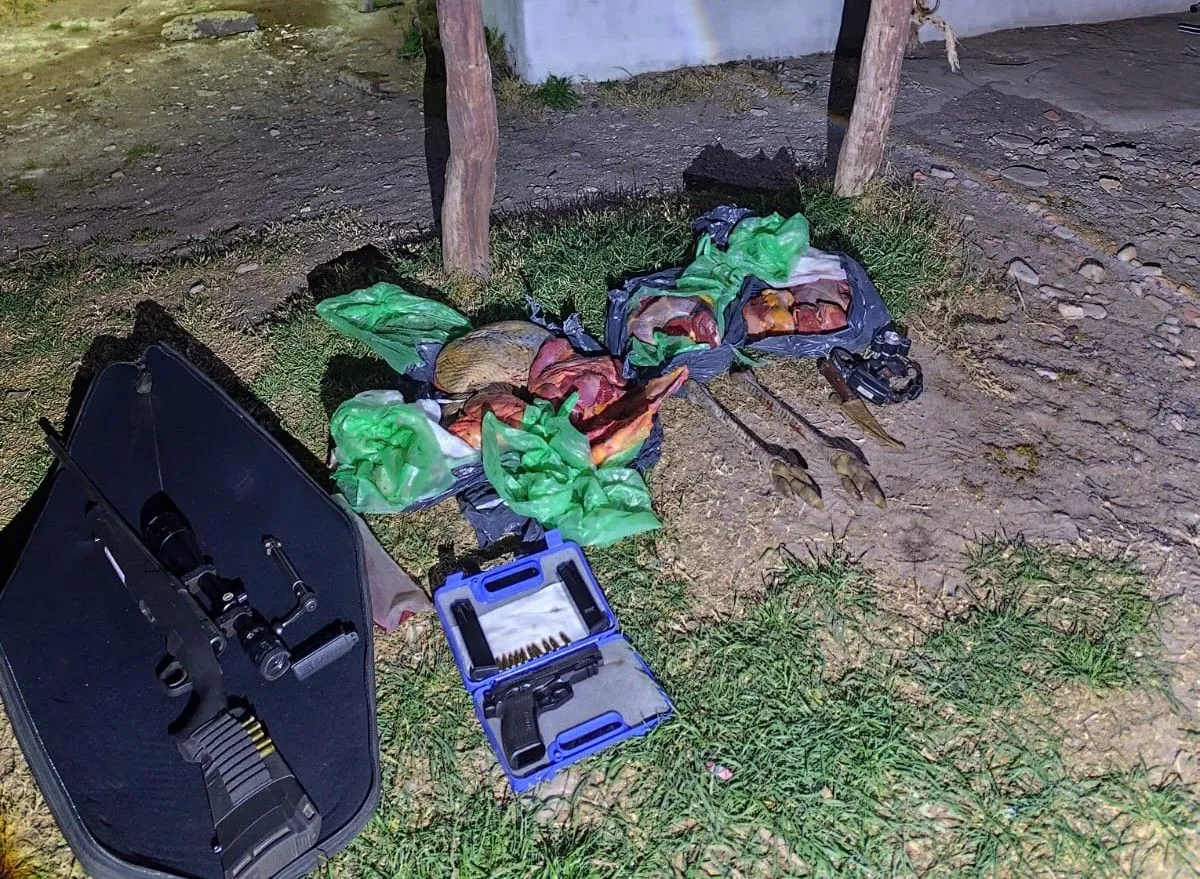 Hallan carne de ñandú, armas y municiones en una camioneta durante un ...